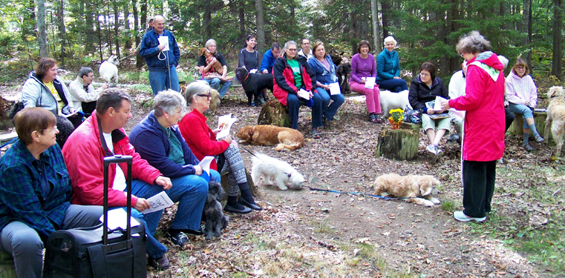 CEUMC Animal Blessings – Cape Elizabeth United Methodist Church